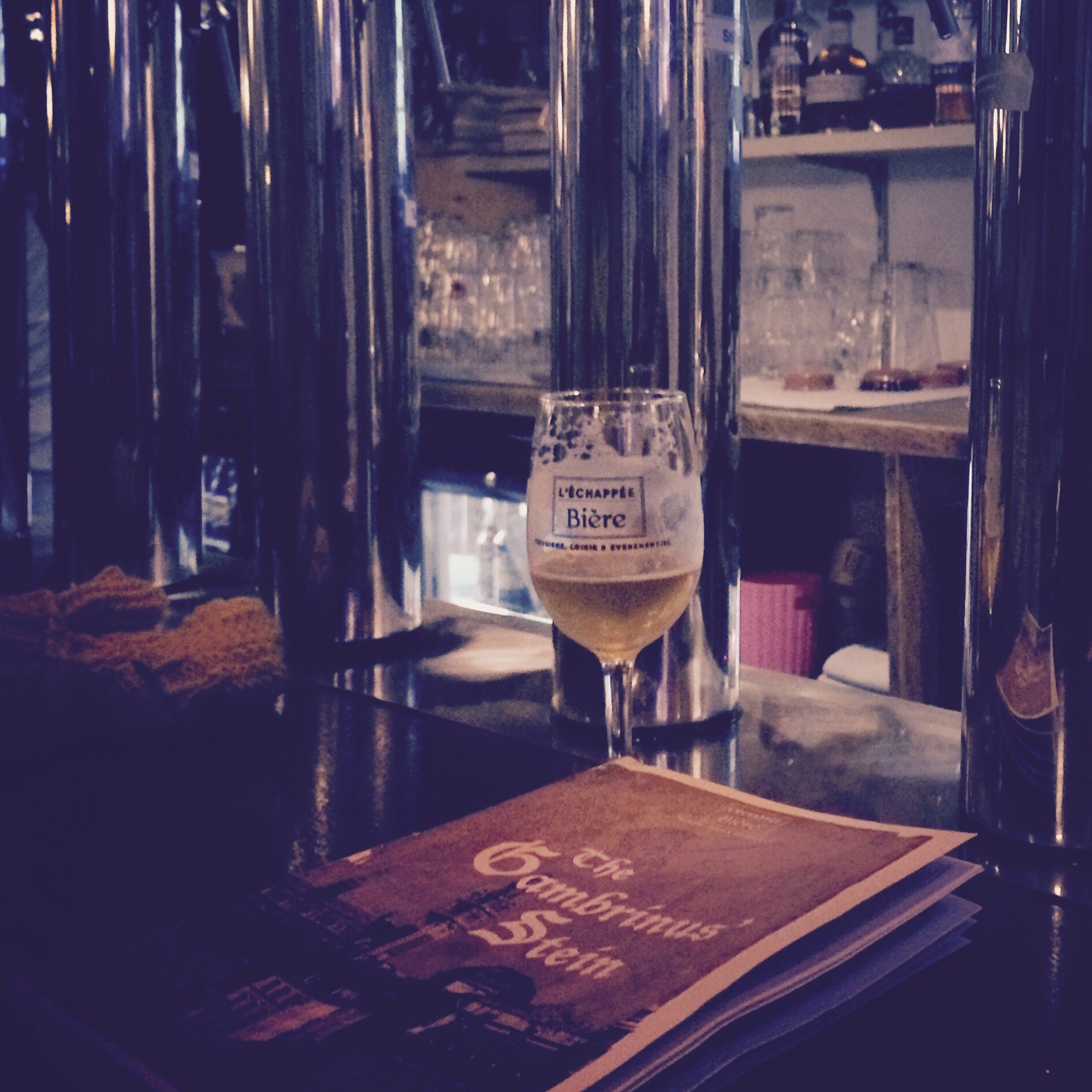 The Gambrinus’ Stein (Lille, France) – These Two Eyes!